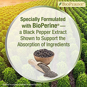 Four Paws Healthy Promise Advanced Formula Hip & Joint Supplement for Dogs Soft Chews 48 Count