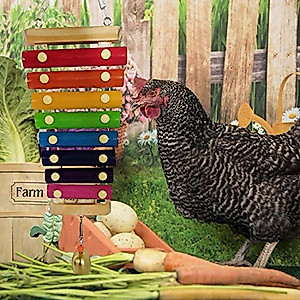 DUJIAOSHOU Wooden Bird Toys，Toys Educational Training Creative Block Discolored Intelligence Toys for Parrot Parakeet (B Toys)