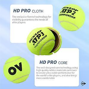 DUNLOP ATP Championship Regular Duty Tennis Balls, Case