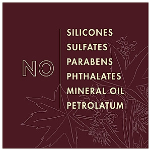 SheaMoisture Jamaican Black Castor Oil 13 oz. Strengthen, Grow & Restore Conditioner with Shea Butter, Peppermint and Keratin - Sulfate Free and Color Safe - Value Pack of 2 Each