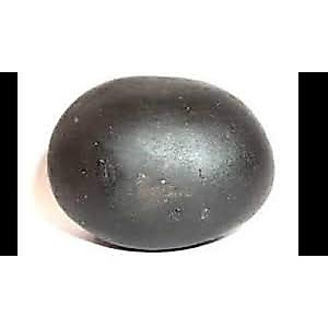 Finaldeals Natural Shaligram Shila Laxmi Narayan Abhimantrit Shree Shaligram For Home Temple