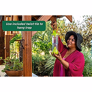 RESCUE! WHY Trap for Wasps, Hornets, & Yellowjackets – Hanging Outdoor Trap