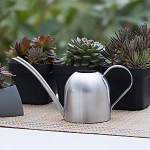 E.Palace Stainless Steel Water Can for Indoor Plants and Garden (15 oz)