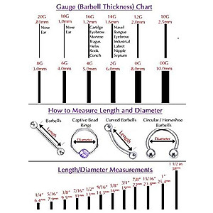 Body Accentz Nipple Shield Rings barbell barbells sold as a pair 14 gauge Skulls [Jewelry]