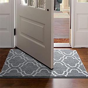 Unirea Area Rug for Bedroom Living Room Rugs 2x5 Carpet Kitchen Rug Small, Runner Rugs Machine Washable Non Slip Fluffy Door Mat Indoor Outdoor Rugs for Floor Bedside Home Decor, Grey