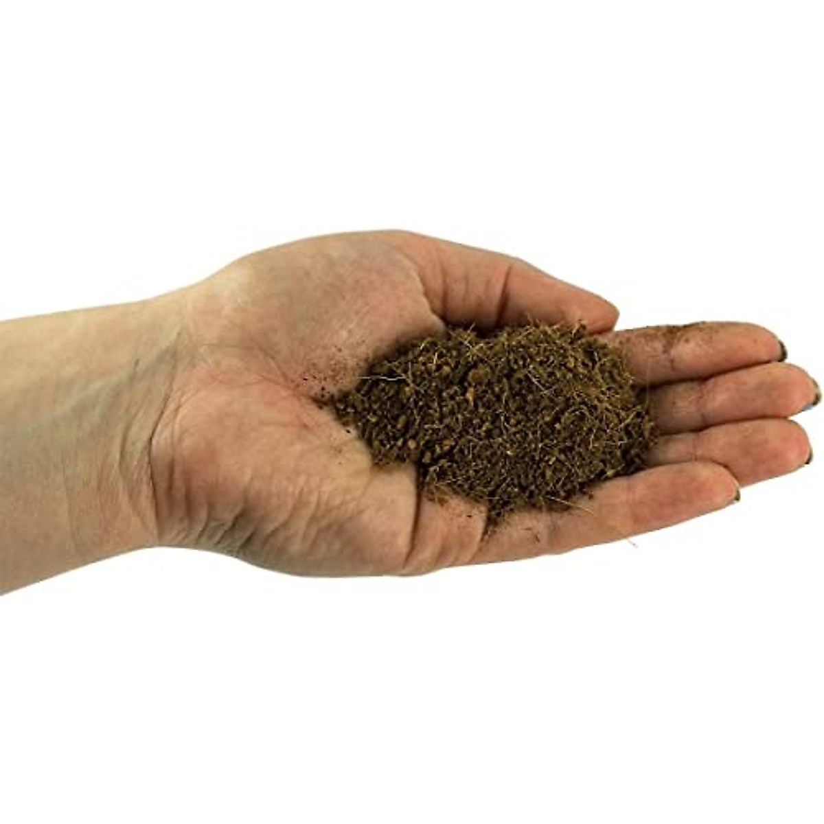 Josh's Frogs Coco Cradle Brick (3 Pack)