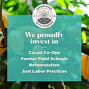 Navitas Organics Raw Cacao Nibs, 8 oz. Bag, 76 Servings — Organic, Non-GMO, Fair Trade, Gluten-Free