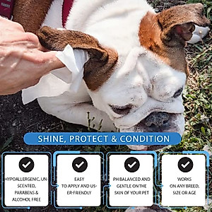 Tetesol Dog Wipes for Pets & Cats- 100 Count All Purpose Unscented for Paw & Butt Cleaning,Grooming,AlcoholFree,Vitamin E,pH Balanced, 100% Natural