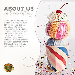 (1 Skein) Lion Brand Yarn Ice Cream Baby Yarn, Coffee Multicolor