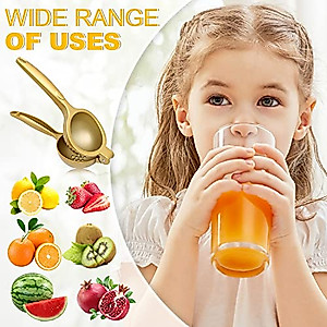 Lemon Squeezer, Large Citrus Juicer and Lemon Juicer Hand Press Heavy Duty Lime Squeezer Easy Squeeze Manual Juicer JAYWAYNE Metal Hand Juicer Kitchen Tools and Gadgets For Making Fresh Juice (Gold)