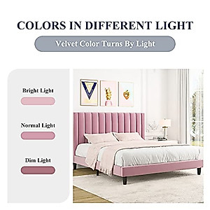 Allewie Full Bed Frame/Velvet Upholstered Bed Frame with Vertical Channel Tufted Headboard/Strong Wooden Slats/Platform Bed Frame/Mattress Foundation/Box Spring Optional/Easy Assembly/Pink…