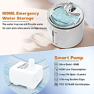 Cat Water Fountain Stainless Steel - SINDOX Dog Water Bowl Fountain, 2.6L/88oz Automatic Cat Fountains Super Quiet Pet Drinking Water Dispenser for Cats, Dogs, Multiple Pets with 3 Filters - White