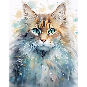 Cross-Stitch Stamped Kits, Good-Natured Cat, DIY Designs Cross-Stitch Easy Supplies Needlework, Needlepoint Embroidery Gift for Home Decor 16x20 inch