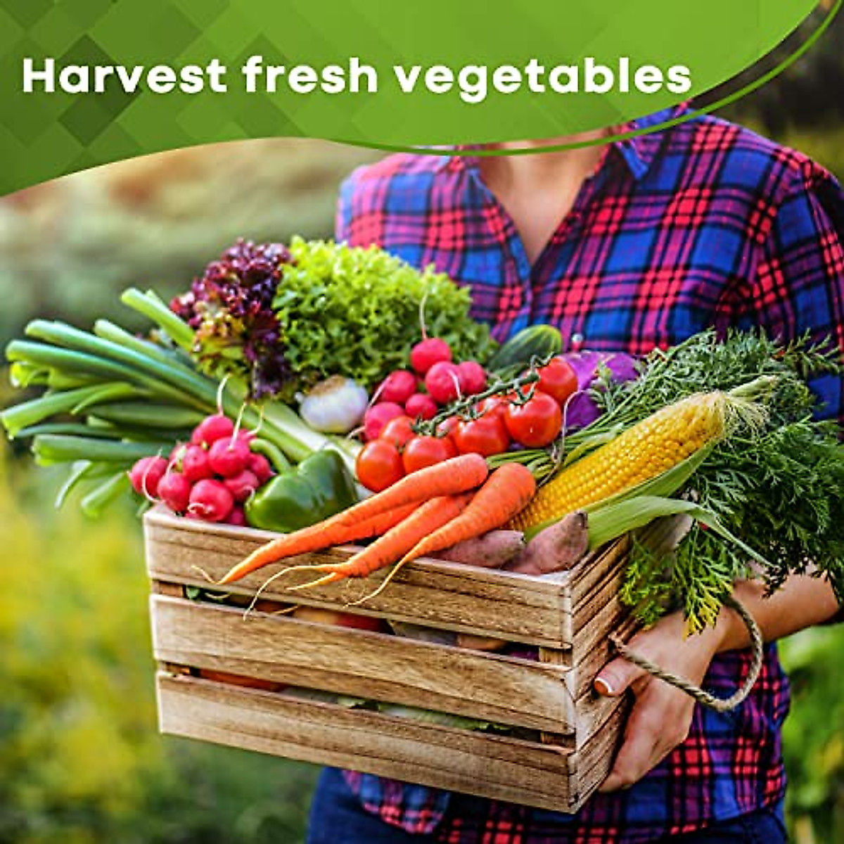 Heirloom Vegetable Seeds Variety 7 Pack — Includes Beet, Broccoli, Cabbage, Carrot, Celery, Cucumber and Kale — Vegetable Garden Starter Kit (7 Variety A)