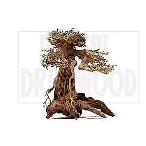 Bonsai Driftwood Aquarium Tree AM (8 Inch Height x 6 Inch Length) Natural, Handcrafted Fish Tank Decoration | Easy to Install