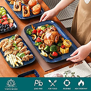 vancasso Stern Serving Platters Set of 3, 15/13/ 11 Inches Rectangular Serving Plates, Blue Serving Trays for Entertaining, Party