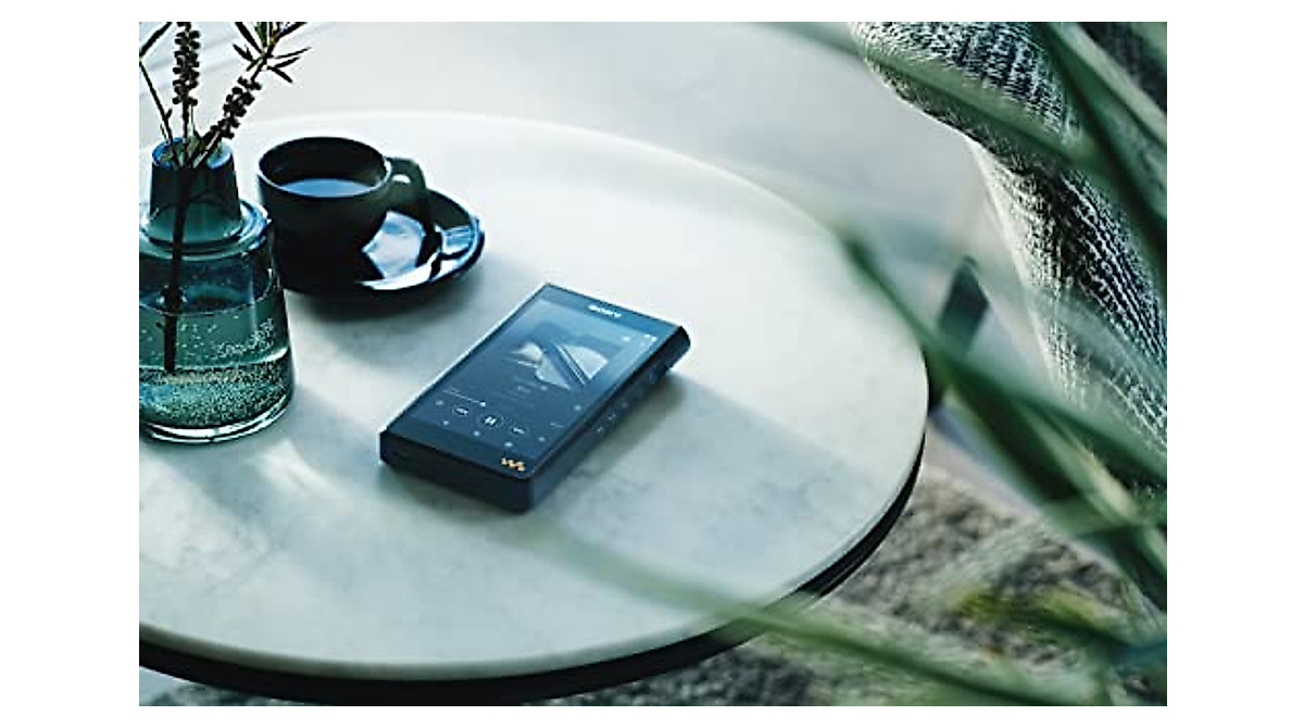 Sony NW-WM1AM2 Hi-Res 128GB Walkman – Premium Digital Music Player