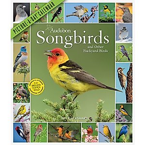 Audubon Songbirds and Other Backyard Birds Picture-A-Day Wall Calendar 2021