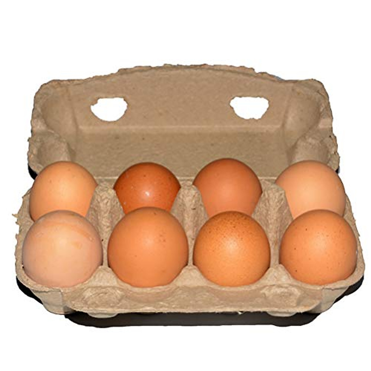 DOITOOL 20PCS Egg Cartons for Chicken Eggs 6 Counts Egg Crates for Farmers Market, Half Dozen Egg Cartons Natural Pulp Egg Cartons 6 for Chicken Eggs Storage