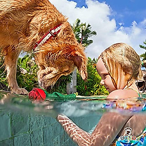 ucho Dog Chew Toys for Aggressive Chewers, Rose Dog Toys for Small Meduium Large Dogs, Interactive Dog Chew Toys for Training and Cleaning Teeth