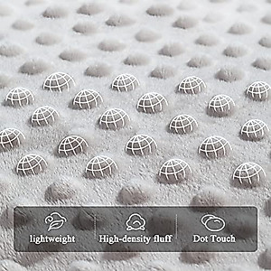 XIAOMUWU Tag Security Blankets for Babies, Sensory Soothing Blanket for 3-12 Months Baby, Soft Minky Loveys Toys for Girls and Boys (Gray White)
