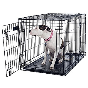 36-inch Dog Crate - Double Door Pet Kennel with Divider Panel - Foldable Dog Cage with Carry Handle for Portability and Storage by PETMAKER (Black)