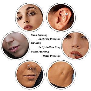 Drperfect 12 PCS Rook Piercing Jewelry Rook Earrings for Women Men Eyebrow Rings 16G Stainless Steel Curved Barbell Dangle CZ Belly Lip Ring Cartilage Daith Surface Tragus Piercing Jewelry
