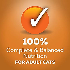 Purina Friskies Gravy Wet Cat Food Variety Pack, Extra Gravy Chunky - (24) 5.5 oz. Cans