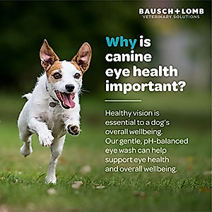 Project Watson Eye Wash for Dogs, Gentle pH Balanced Formula to Help Reduce Risk of Infection, Help Remove Tear Stains & Support Eye Health, Fragrance Free, 4 Fl Oz