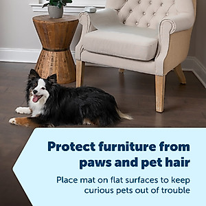 PetSafe ScatMat Indoor Training Mat, 7 Correction Modes, Protect Your Furniture, Training Tool for Dogs and Cats, Medium Size Mat (30 in X 16 in) - Pet Proof Your Home - Battery-Operated Mat