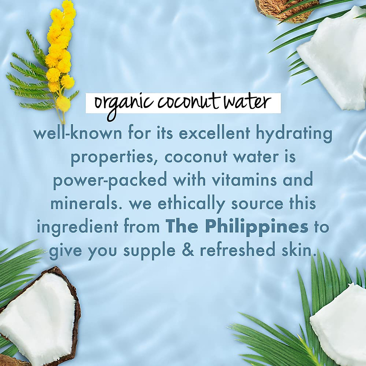 Love Beauty & Planet Luscious Hydration Body Lotion Coconut Water and Mimosa Flower 13.5 oz (Pack of 1)