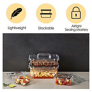 gotman Airtight Food Storage Container With Lid (15.6 oz) - Leak-Proof Lunch Box | BPA-Free | Meal Prep | Microwave, Freezer and Dishwasher Safe | Kitchen Fridge Organizer Boxes | Fresher Food