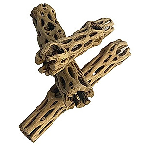 Awesome Aquatic Natural Cholla/Choya Wood 3 Pieces 6” for Shrimp Habitat and Food Treat Hermit Crabs Plecos Aquarium Decoration Lowers pH Hideouts and Chew Toys Reptiles Thorn Free Dried Organic