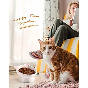 Raised Cat Food Bowl Ceramic 15° Tilted Cat Food Bowls Protect Cat's Spine Anti Vomiting Backflow Prevention Cat Bowls for Adult Cats, Kitten, and Small Dogs, Pink