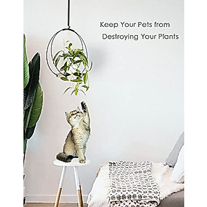 Dravmola Plant Hanger with Wood Base - Boho Macrame Hanging Plant Holder for Indoor Plants Hanging Planter for Wall/Window/Room Decor Black (Pot & Plant Not Included)