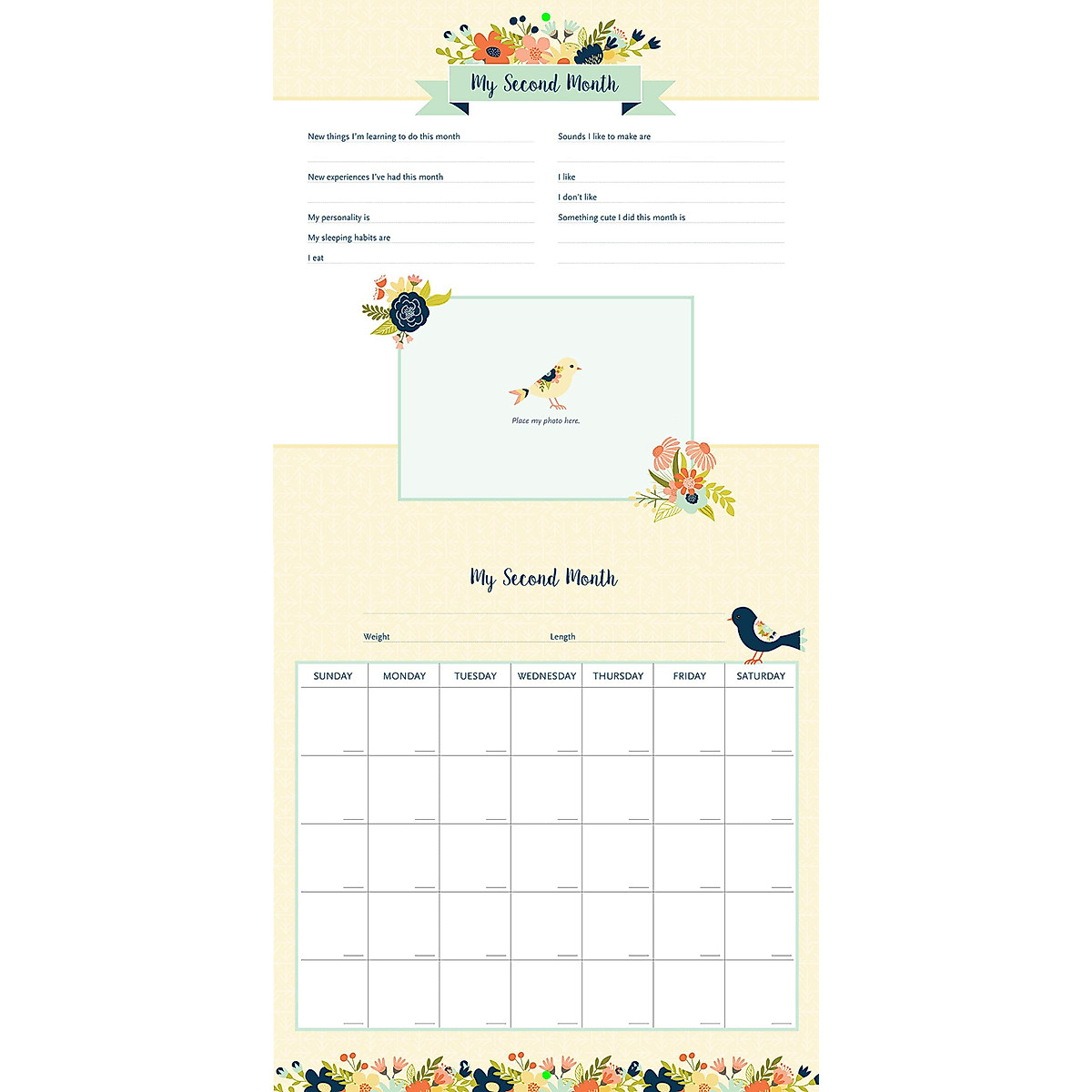 My Life as a Baby: A First-Year Calendar (Birds)