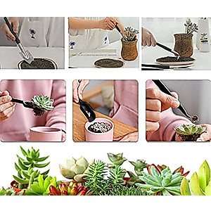 AFAKE Garden Tools Set for Men and Women,Miniature Succulent Tool Kit Seed Starter Care,Heavy Duty Gardening Tools Kit Gardening Gifts,Gardening Hand Tools Supplies for Gardener