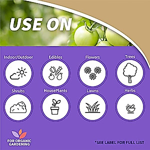 Neem Oil Fungicide Miticide Insecticide Conc