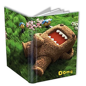 Domo Journal