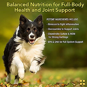 Animal Pharmaceuticals ZM-Ultra Complete Joint Support Soft Chews - Glucosamine Chondroitin for Dogs & Cats - Hip and Joint Health & Mobility Support Supplement - 60 ct