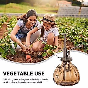 SAFIGLE Watering can Plants Spray Mister Glass Mister Spray Bottle Water Spritzer for Plants Succulent Accessories Succulent Watering Bottle for Home Balcony Glass Spray Bottle