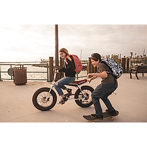 Dakine 365 Pack 21L (Black II, 21L)