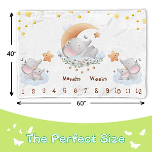 QICAIYUN Baby Milestone Monthly Blanket Elephant Desgin Twins Baby Month Blanket First Year Calendar Growth Chart Play Mat Large 60" x40'' Baby Photography Props YUNBTZT042