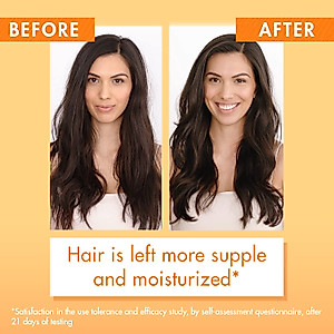 Klorane Nourishing Shampoo With Mango Butter, Moisturize and Hydrate Dry Hair, Paraben, Silicone, Sls Free, Travel Size, 3.3 Fl Oz (Pack of 2)