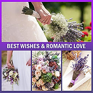 Timoo Dried Lavender Bundles 100% Natural Dried Lavender Flowers for Home Decoration, Photo Props, Home Fragrance, 2 Bundles Pack