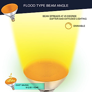 Dysmio Lighting 100 Watt 120 Volt Flood BR38 E26 Incandescent Light Bulb Amber 2 Pack