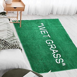 Alivora Wet Grass Rug for Bedroom-Non Slip Wet Grass Carpet for Living Room-Green Grass Rug is Machine Washable Home Floor Mat-Premium Area Rug for Home Decor [47.2 x 31.5]