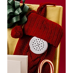 VoiceGift 60 Second Multi-Message Voice Recorder, Record Custom Messages for Plush Toy, Stuffed Bear Toy, Baby Doll Toy, and Pillow - 1 Pack