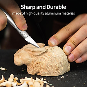 Precision Craft Knife Set - Sharp Razor Blades & Exacto Knife for Carving, Modeling, Scrapbooking, and Sculpting - Perfect for Woodworking, Stenciling, DIY Projects & Precision Cutting (Silver)