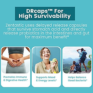 Zentastic Probiotics & Prebiotics Supplement - 50 Billion CFU - for Men & Women’s Immune & Digestive Health - 16 Strains - Shelf Stable - 60 Delayed Release Veggie Capsules